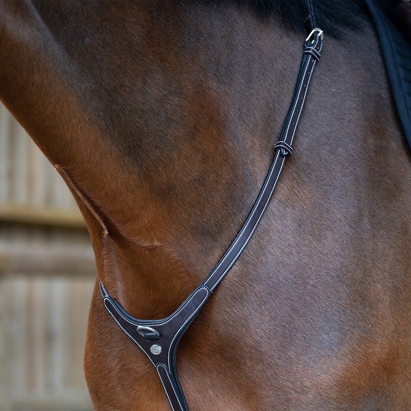 Running martingale - Origin Range